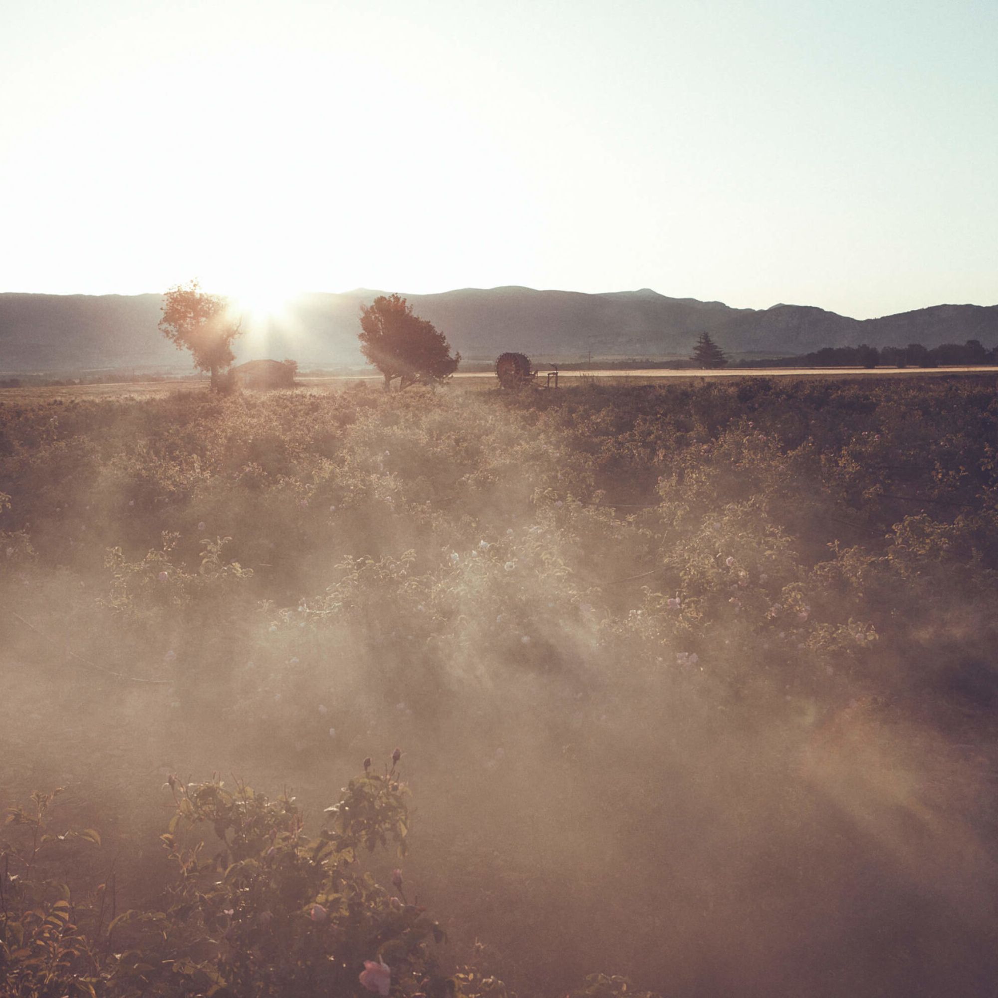 Robertet Singapore - Robertet