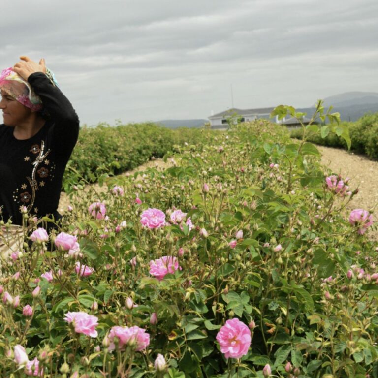 Nos engagements - Robertet