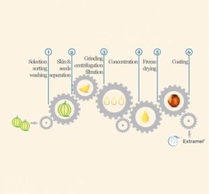 Extramel : Our ingredient - Robertet