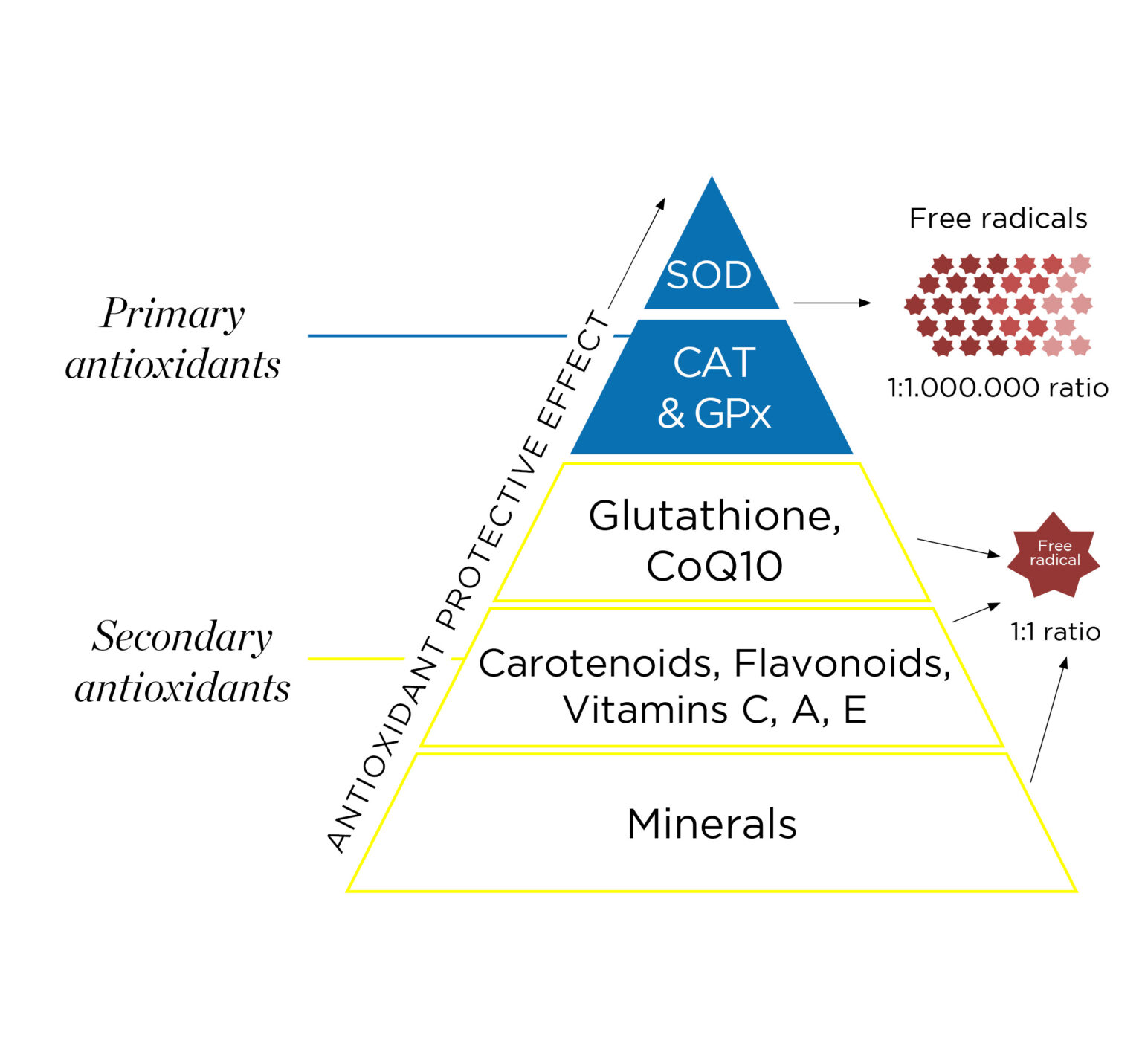 Extramel : More than an antioxidant - Robertet